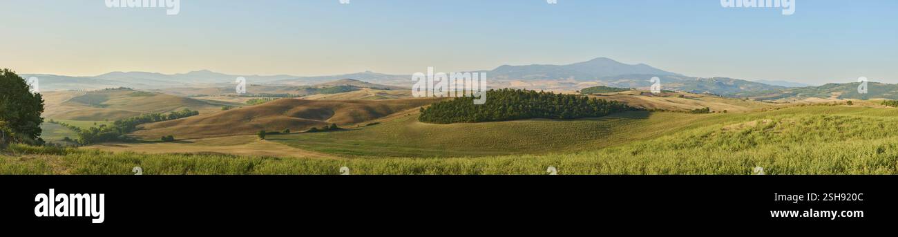 Typical Tuscan landscape in Val d'Orcia with hills, trees, fields ...