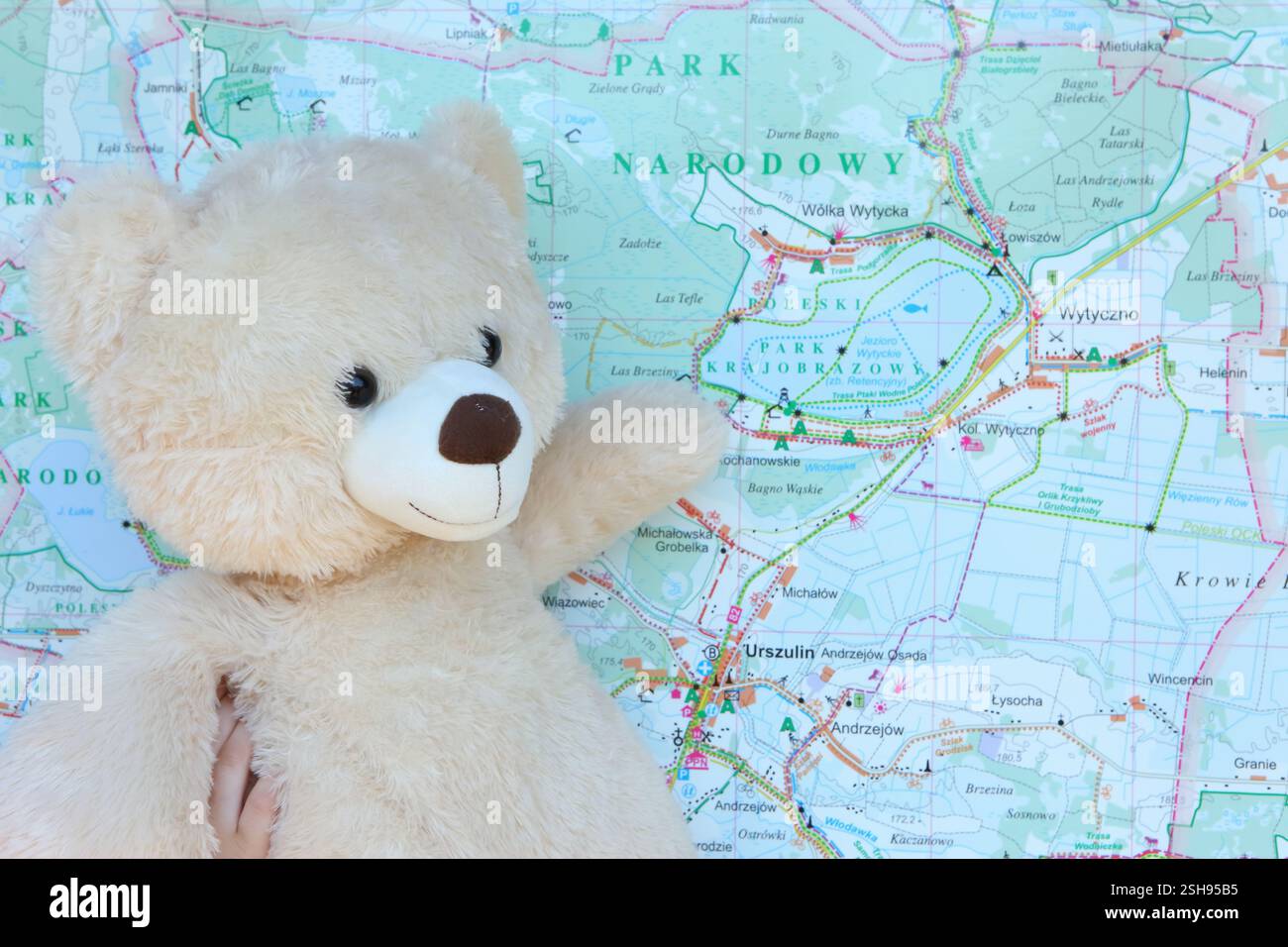 Join the delightful Teddy Bear Adventure as you explore the enchanting ...