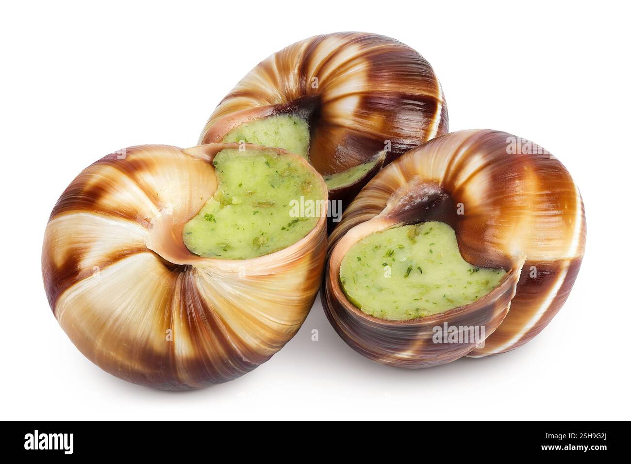 escargot snail filled with garlic and parsley butter isolated on white ...