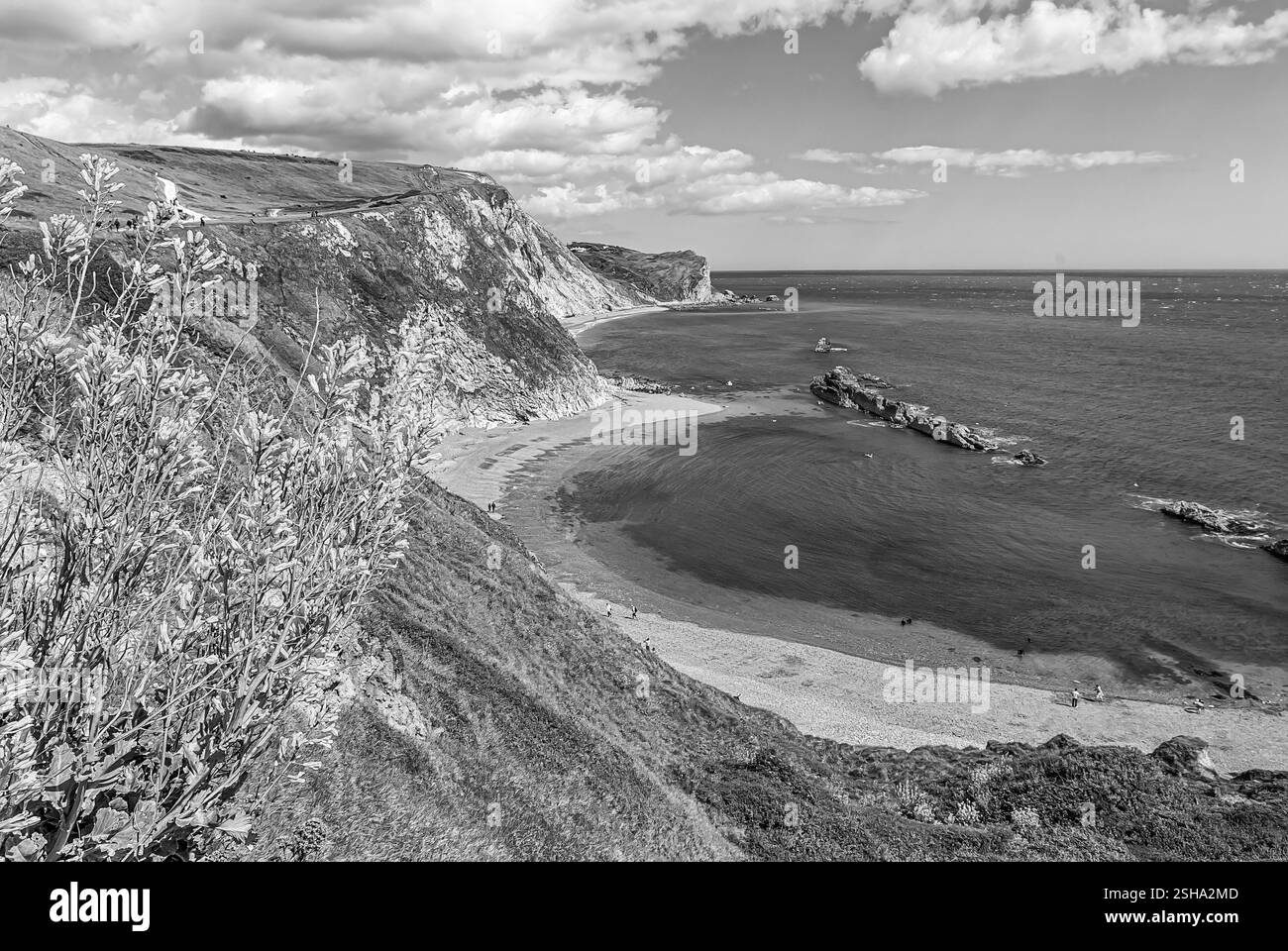 Black and white image of St Oswalds Bay and Man O'War Cove at the ...