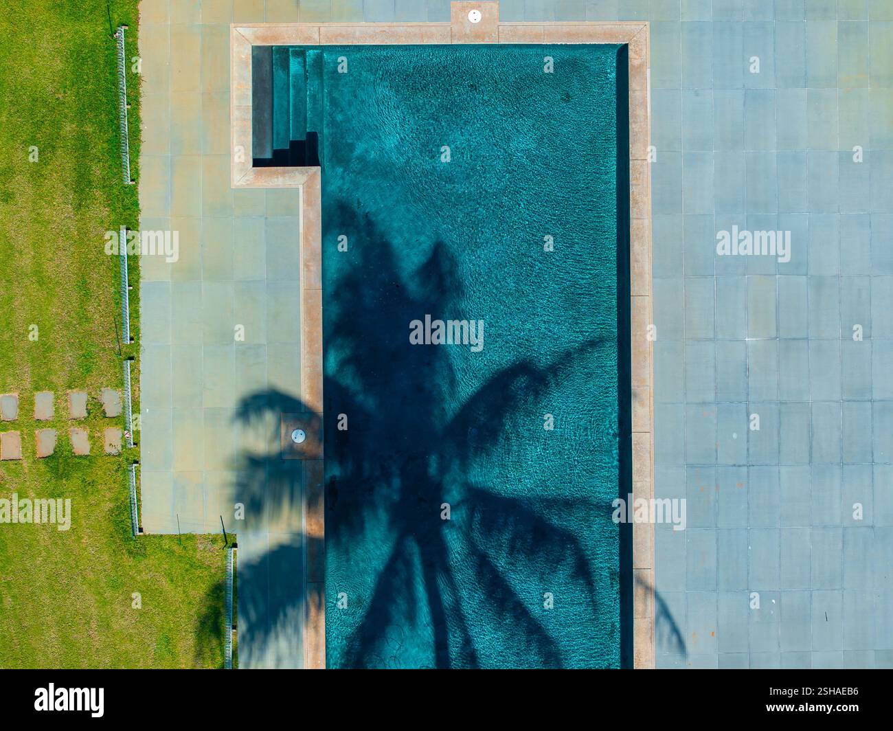Aerial View of Rectangular Pool with L Shaped Corner and Palm Shadow ...