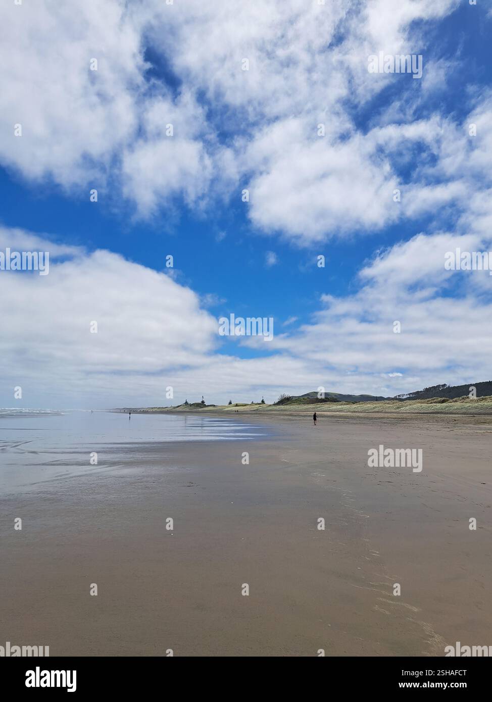 Quiet walk at Muriwai Beach Stock Photo - Alamy