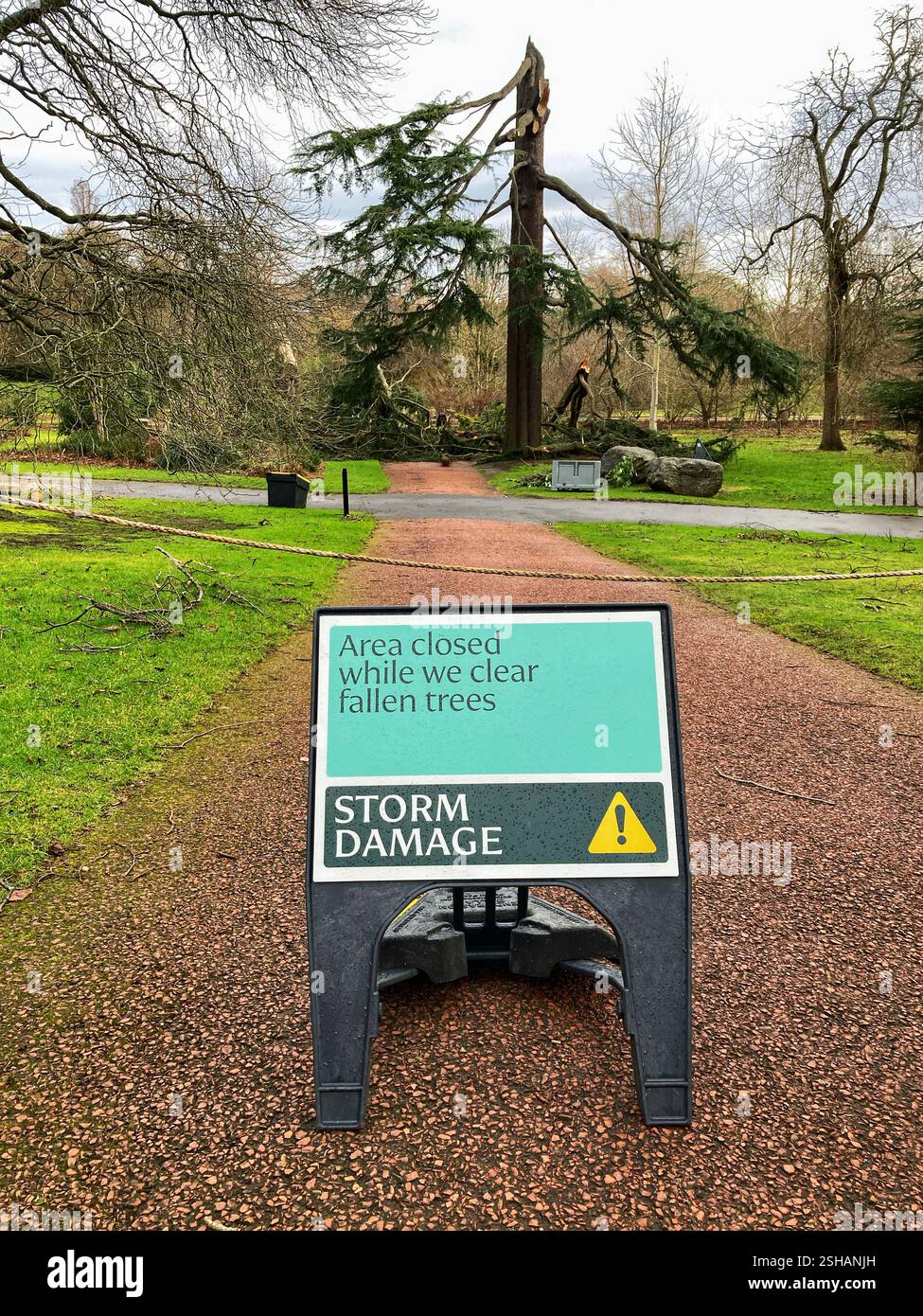 Storm Eowyn:Storm Damage at the Royal Botanic Garden, with the gardens ...