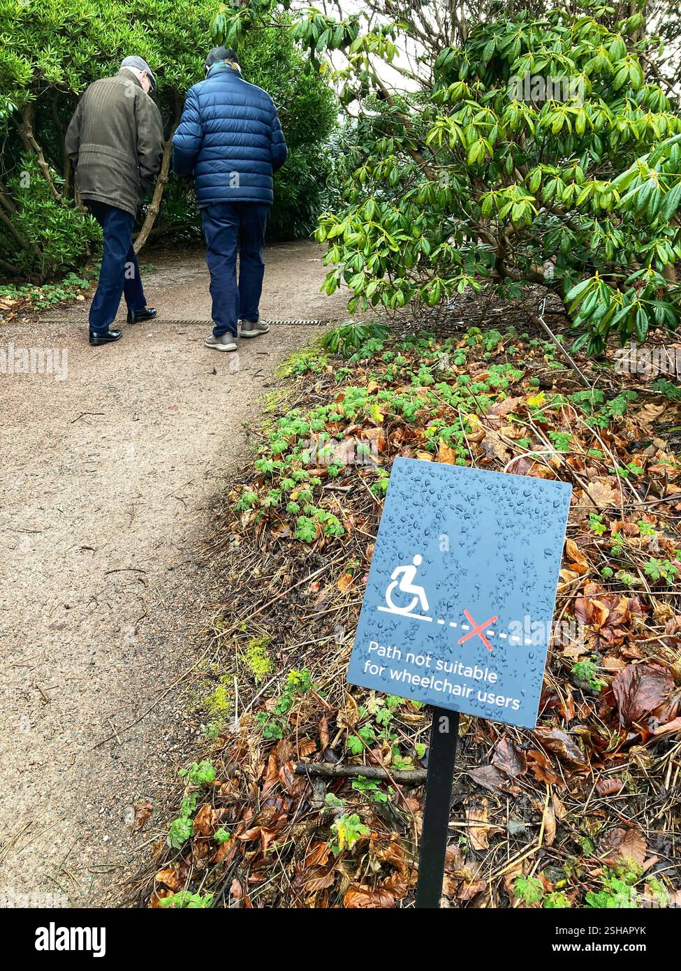 Wheelchair safety smartphone stock photos and images - Alamy