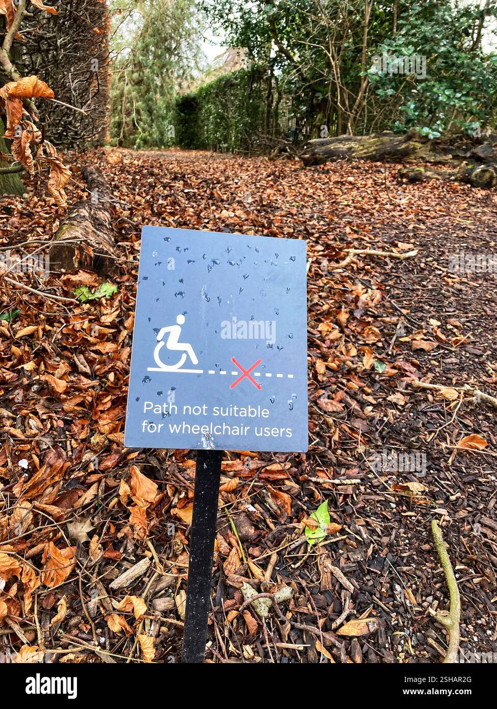 Wheelchair safety smartphone stock photos and images - Alamy