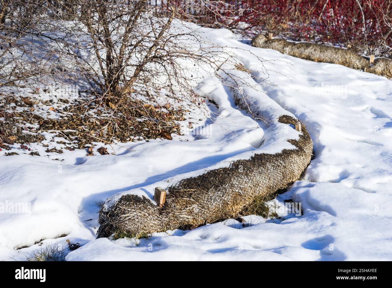 Basin guard hi-res stock photography and images - Alamy