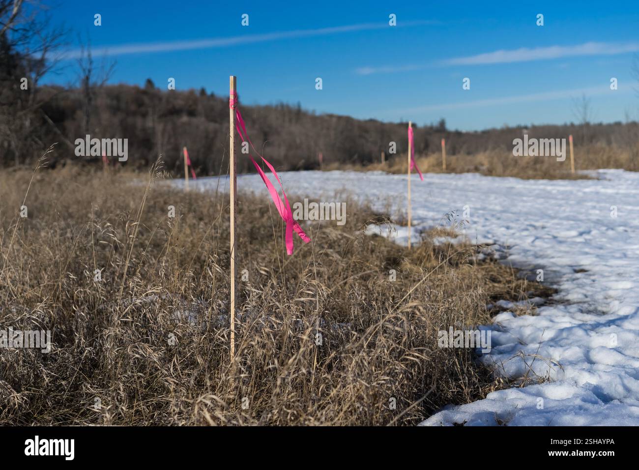 Wooden marking stick with red flag on road construction site Stock ...
