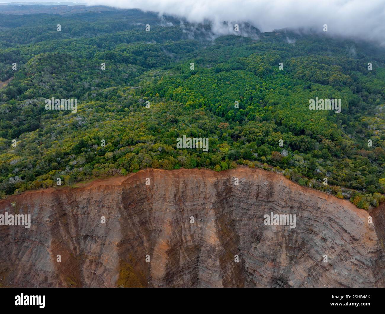 Aerial lush forest in striking hi-res stock photography and images - Alamy