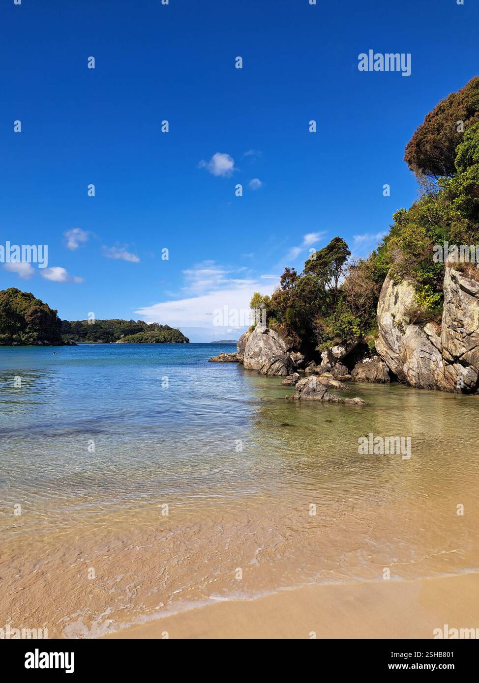Stewart Island Beach Stock Photo - Alamy