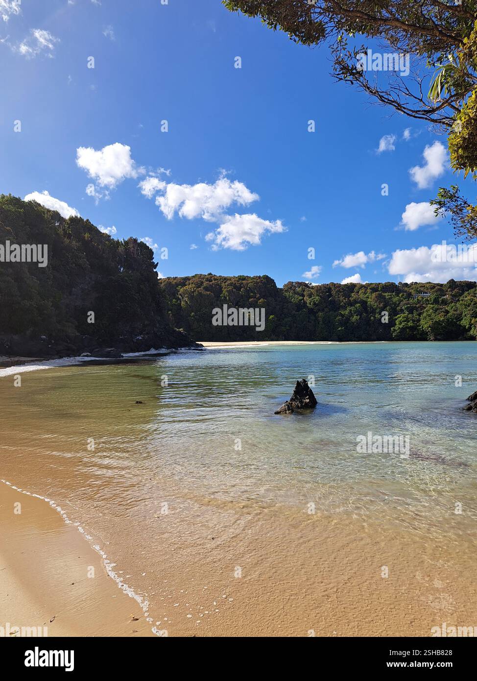Stewart Island Beach Stock Photo - Alamy