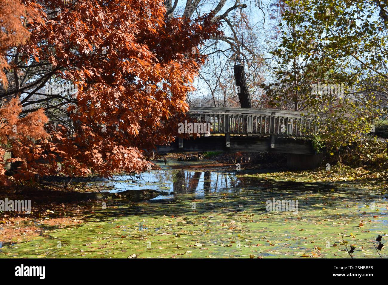 Olbrich hi-res stock photography and images - Alamy