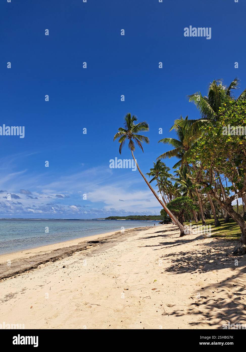 Beach life in Fiji Stock Photo - Alamy