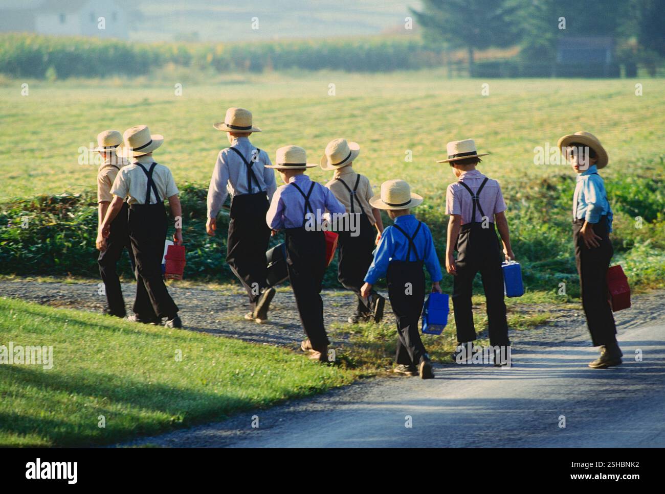 Amish children in traditional plain clothing walk to school in rural ...