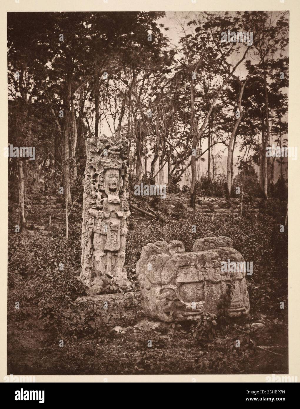 Stela F and Altar, Ruins of Copan, overgrown Archaeological site ...