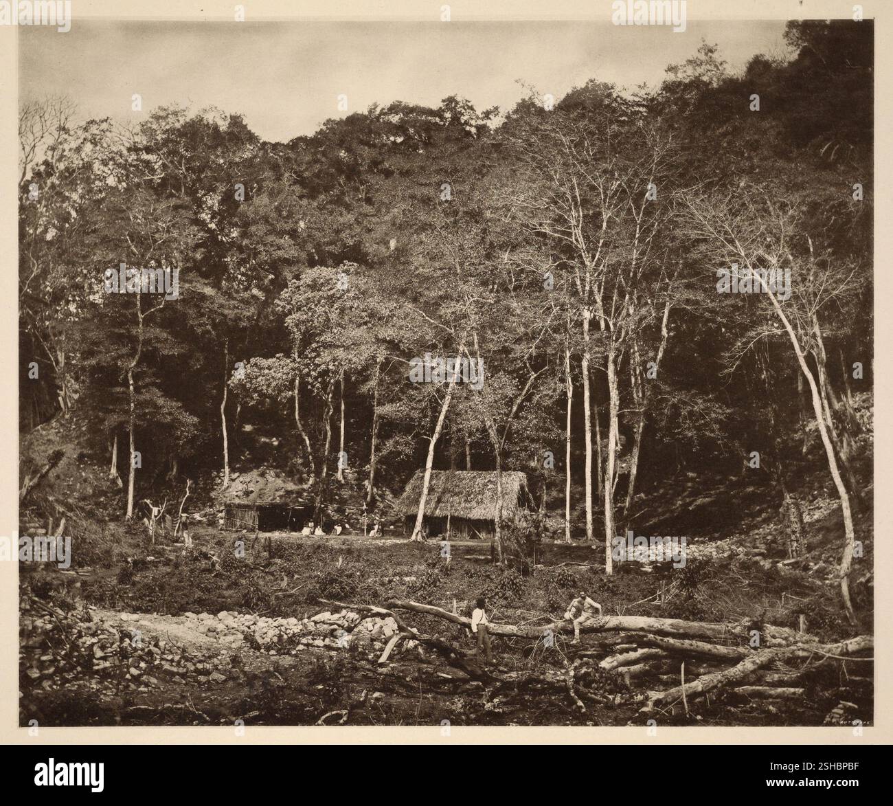 Ruins of Copan higher structures, within overgrown forest. Archive ...