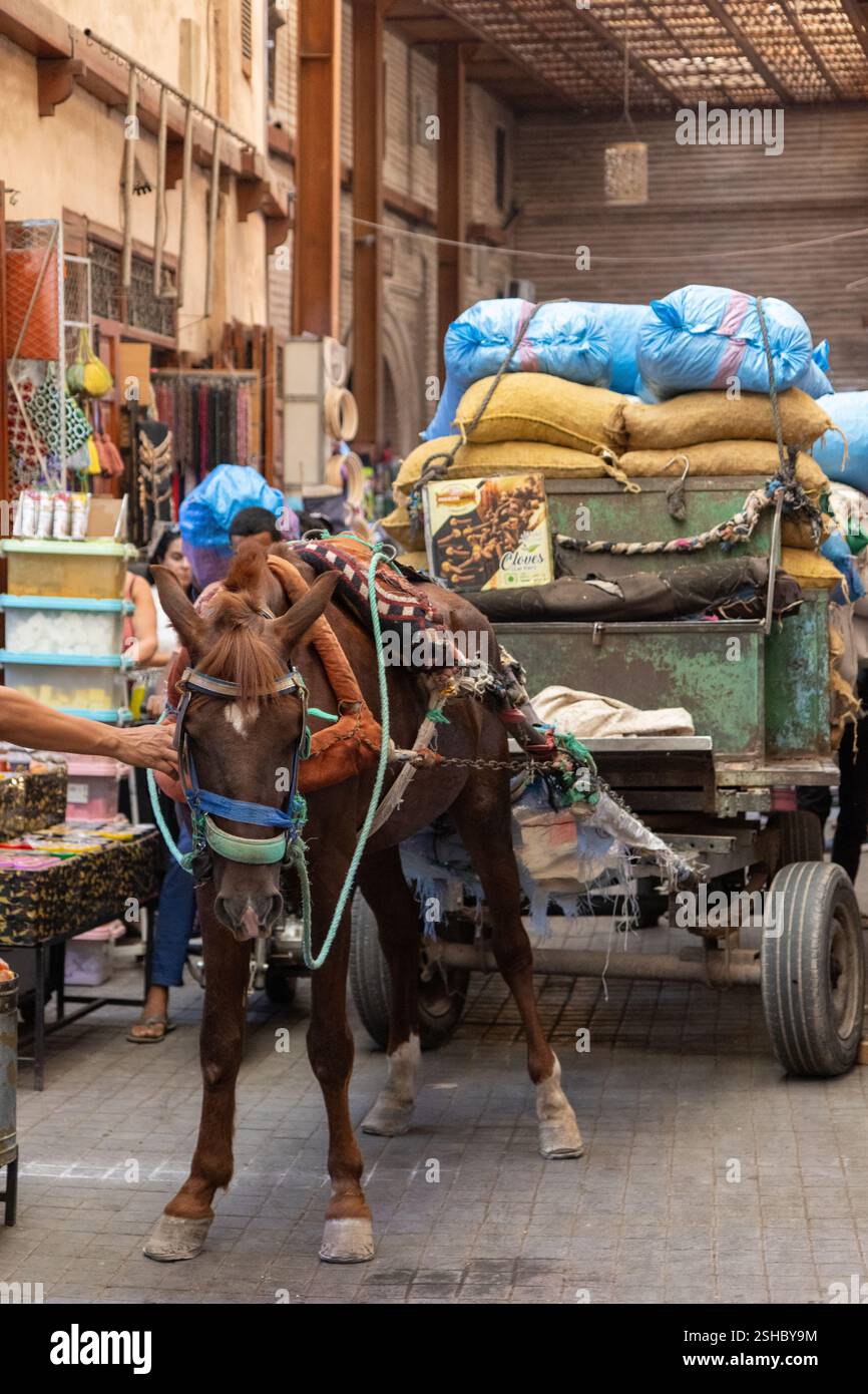 Horse carriage, Souk of Marrakech Medina street life, tourists and ...