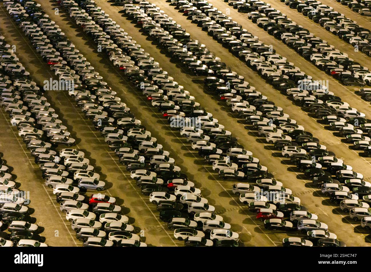 CHONGQING, CHINA - FEBRUARY 10, 2025 - New cars parked at Changan ...