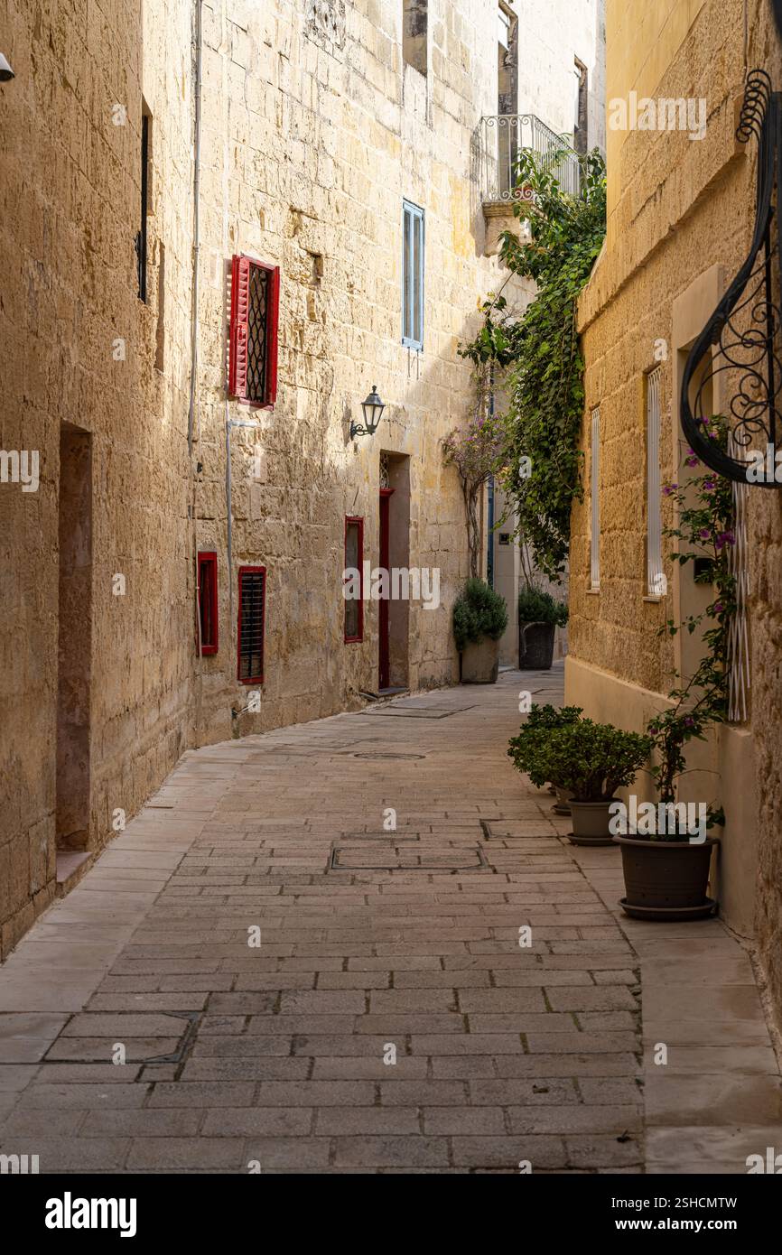 Traditional house detail in Malta. Limestone yellow bricks and colorful ...