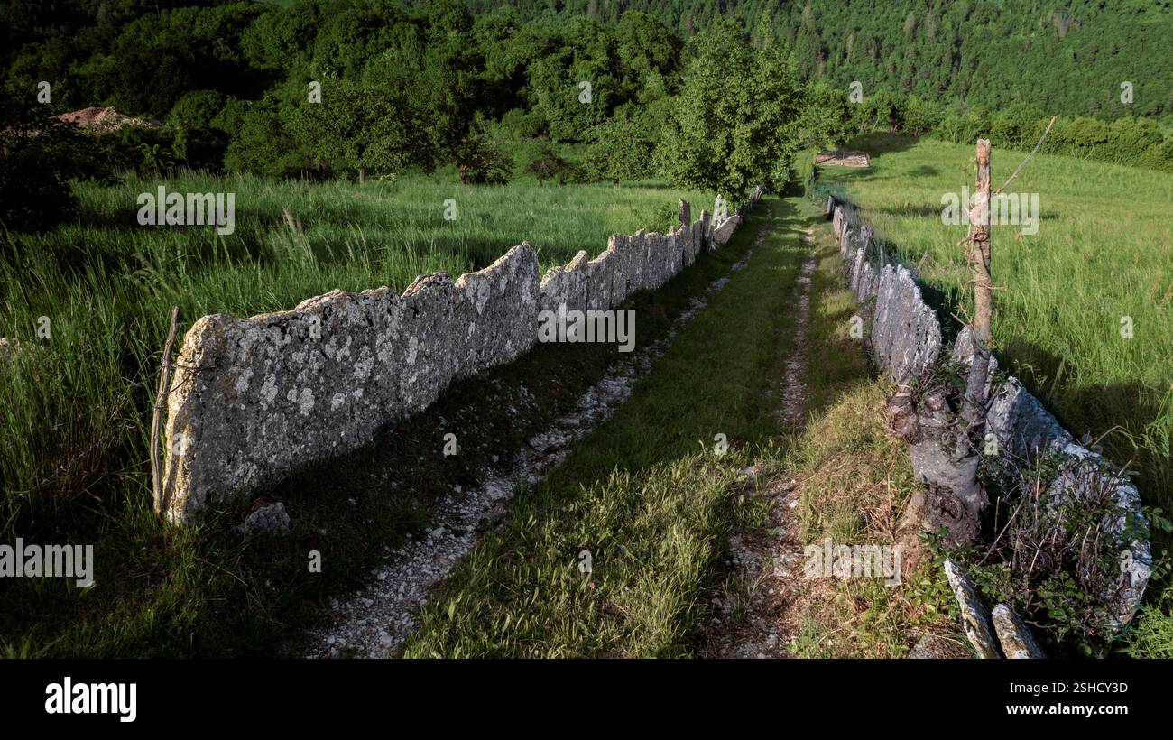 Fence made of dry stone wall and barbed wire, used to delimit grazing ...