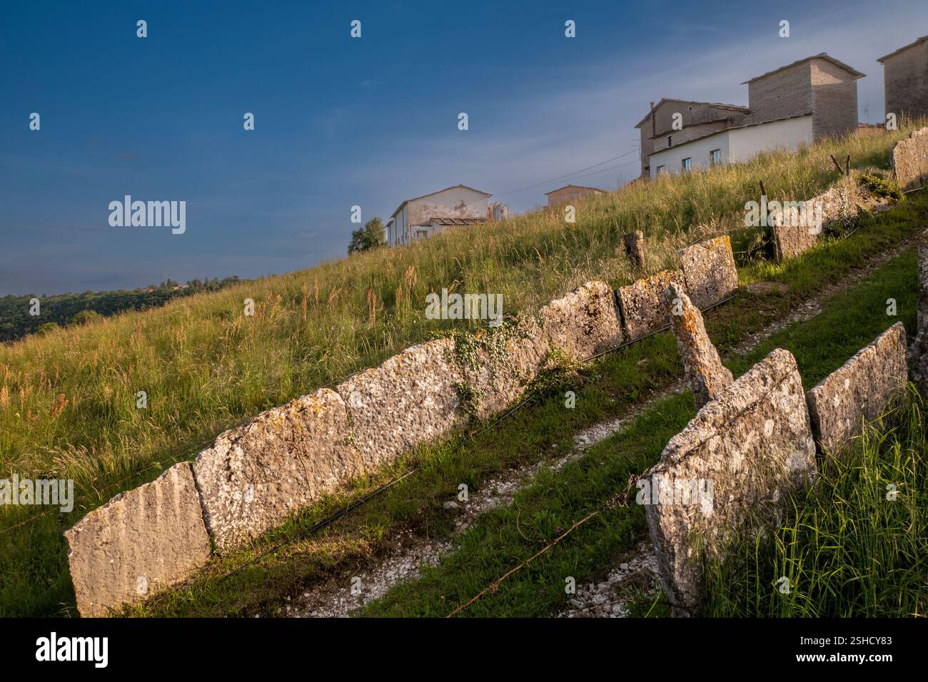 Fence made of dry stone wall and barbed wire, used to delimit grazing ...