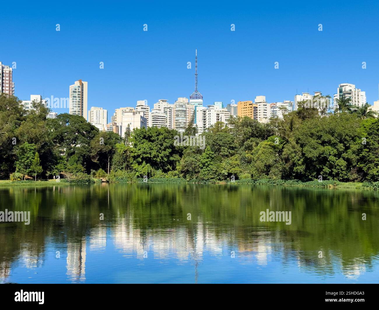 Lake and the Aclimação Park in São Paulo, Brazil Stock Photo - Alamy