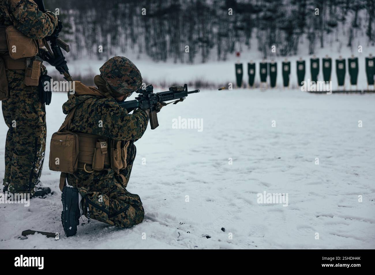 A U.S. Marine with Combat Logistics Battalion 2, Combat Logistics ...