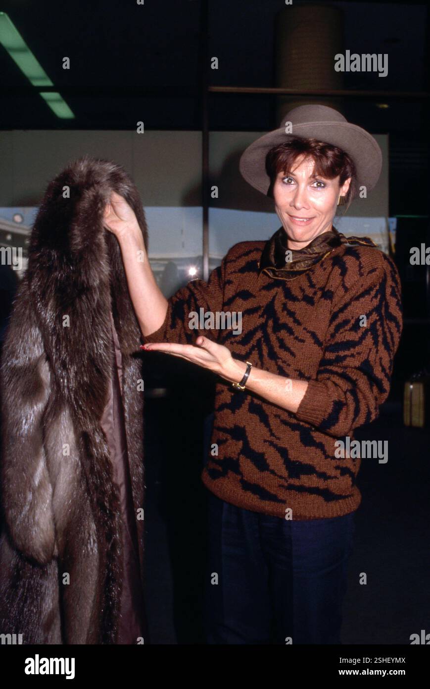 Michele Lee Circa 1980's . Credit: Ralph Dominguez/MediaPunch Stock ...
