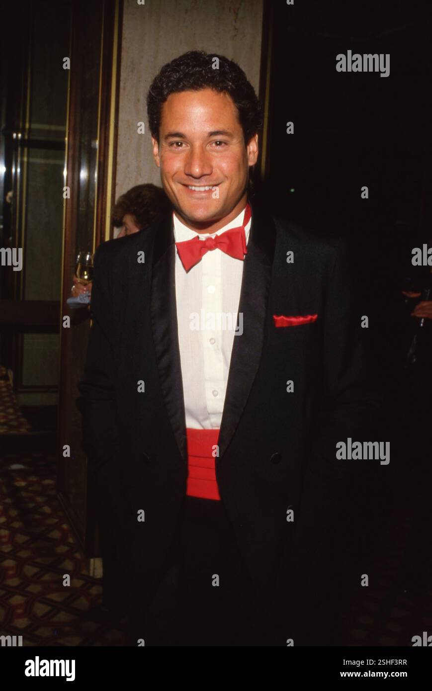 Greg Louganis at the RP International Vision Awards on November 30 ...