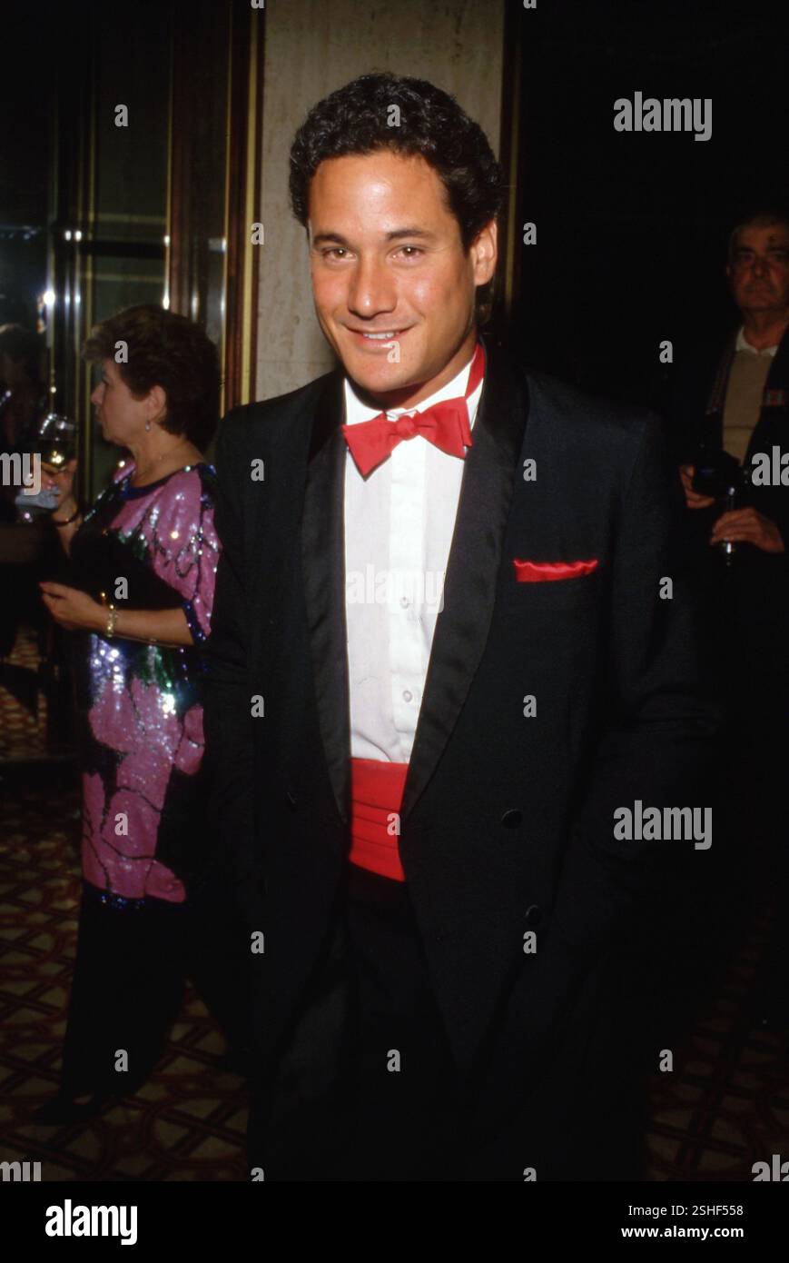 Greg Louganis at the RP International Vision Awards on November 30 ...