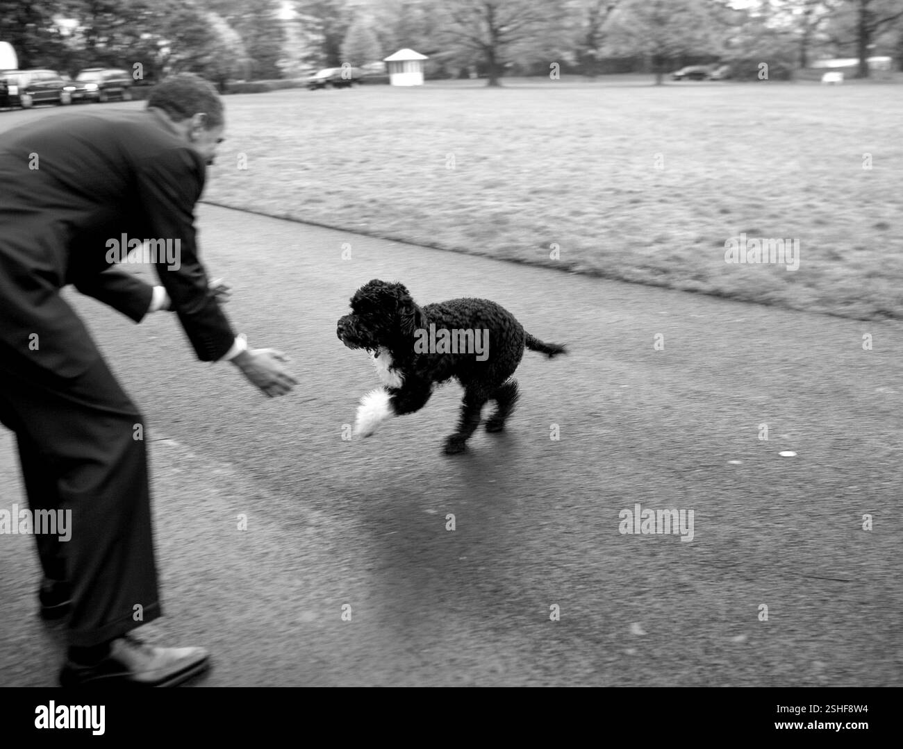 Bo obama dog hi-res stock photography and images - Alamy