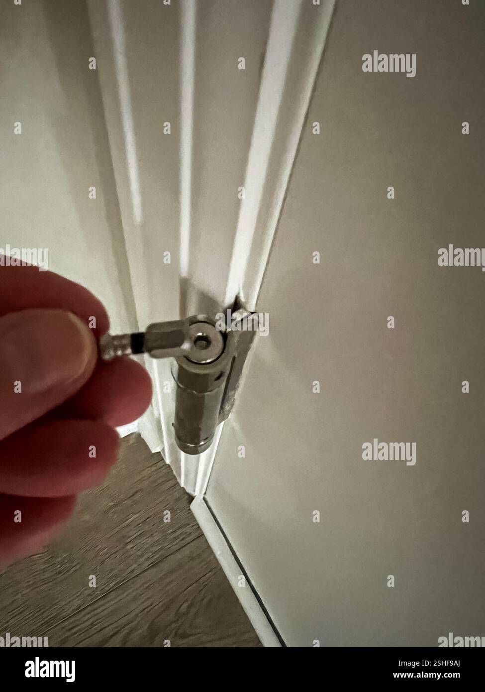 Adjusting door hinge with hex bit tool Stock Photo - Alamy