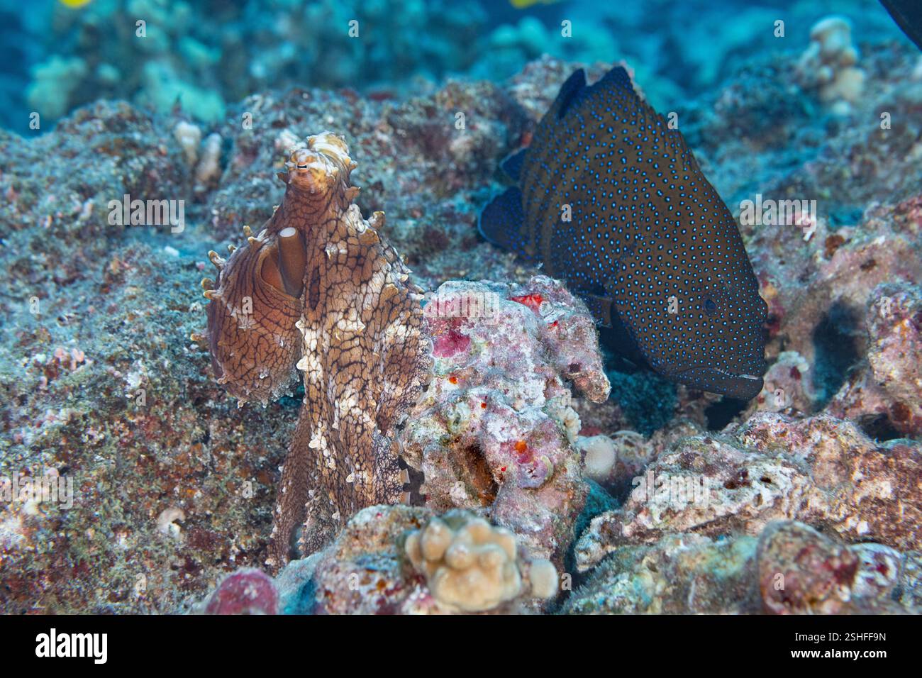 Fish coop 49 hi-res stock photography and images - Alamy