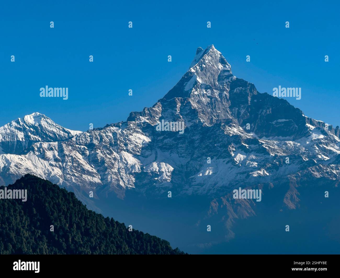 The sacred mountain Machapuchare, also known as the Fish Tail, rises to ...