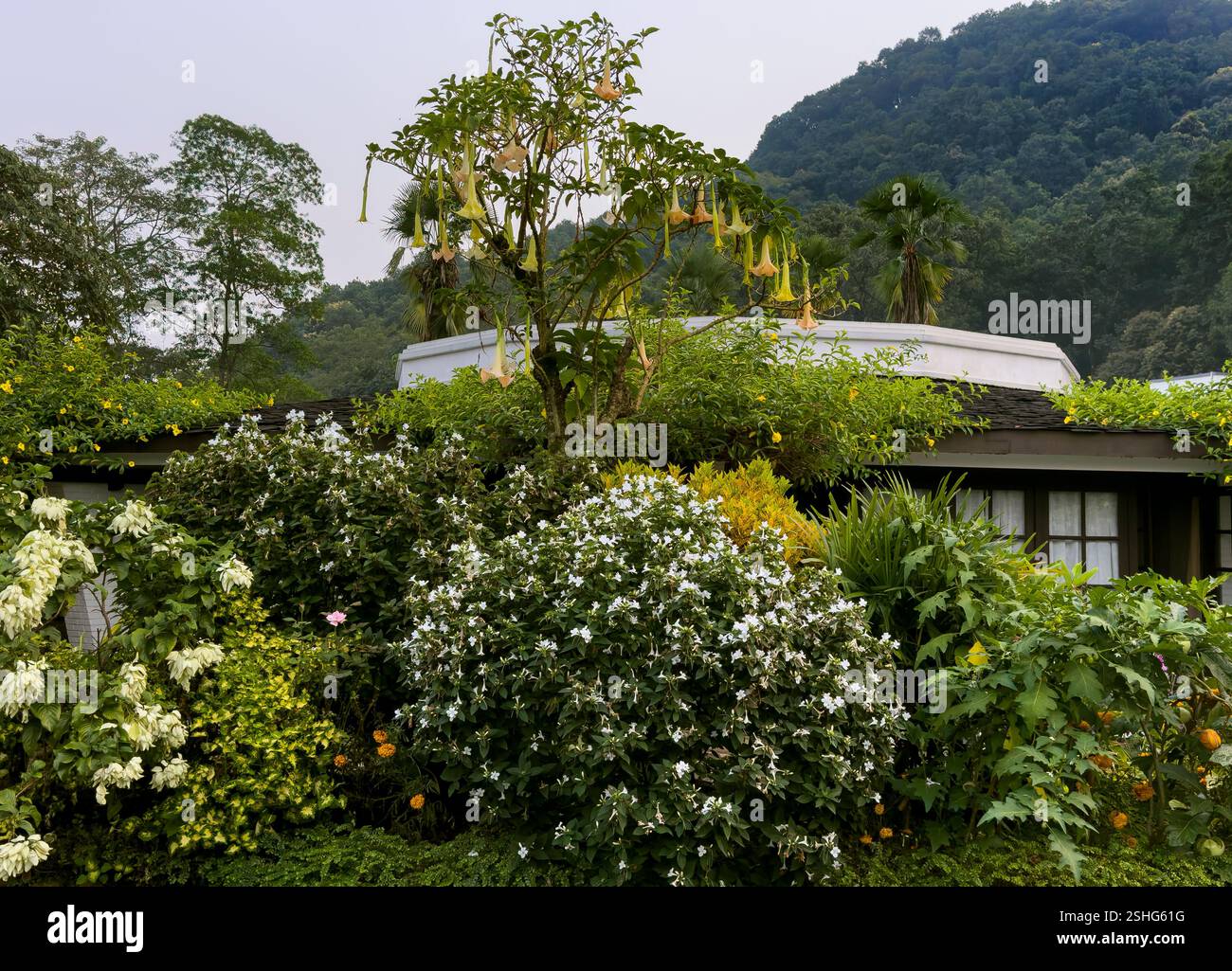 The gardens of the famous Fish Tail Lodge in Pokhara - Nepal Stock ...
