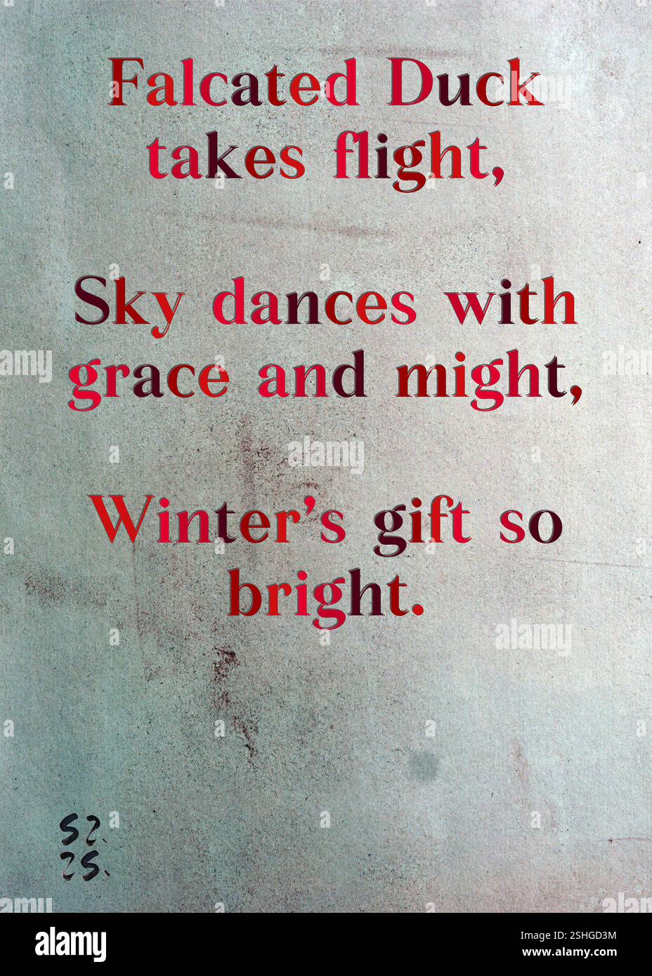 Falcated Duck takes flight, Sky dances with grace and might, Winter's ...