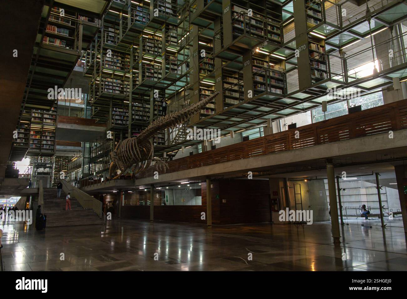 Modern interior of Biblioteca Vasconcelos in Buenavista, featuring ...