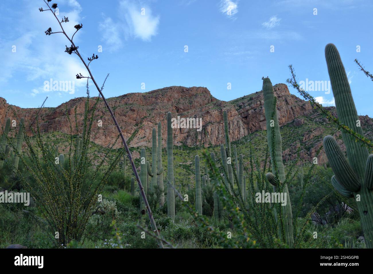Hike arizona hi-res stock photography and images - Alamy