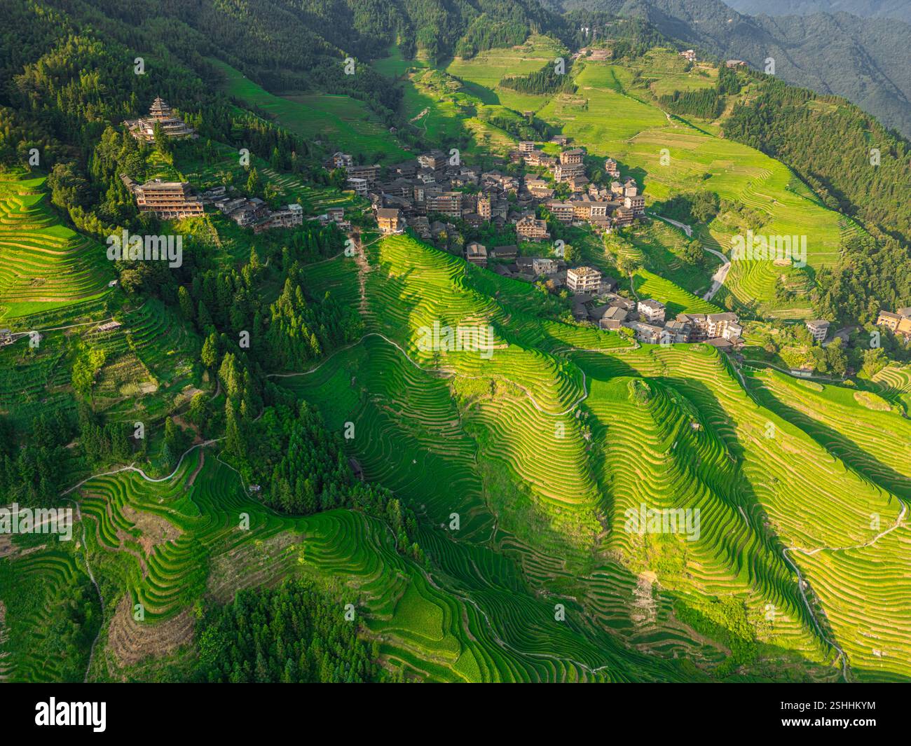 Aerial drone image of the beautiful formation of paddy terrace at ...
