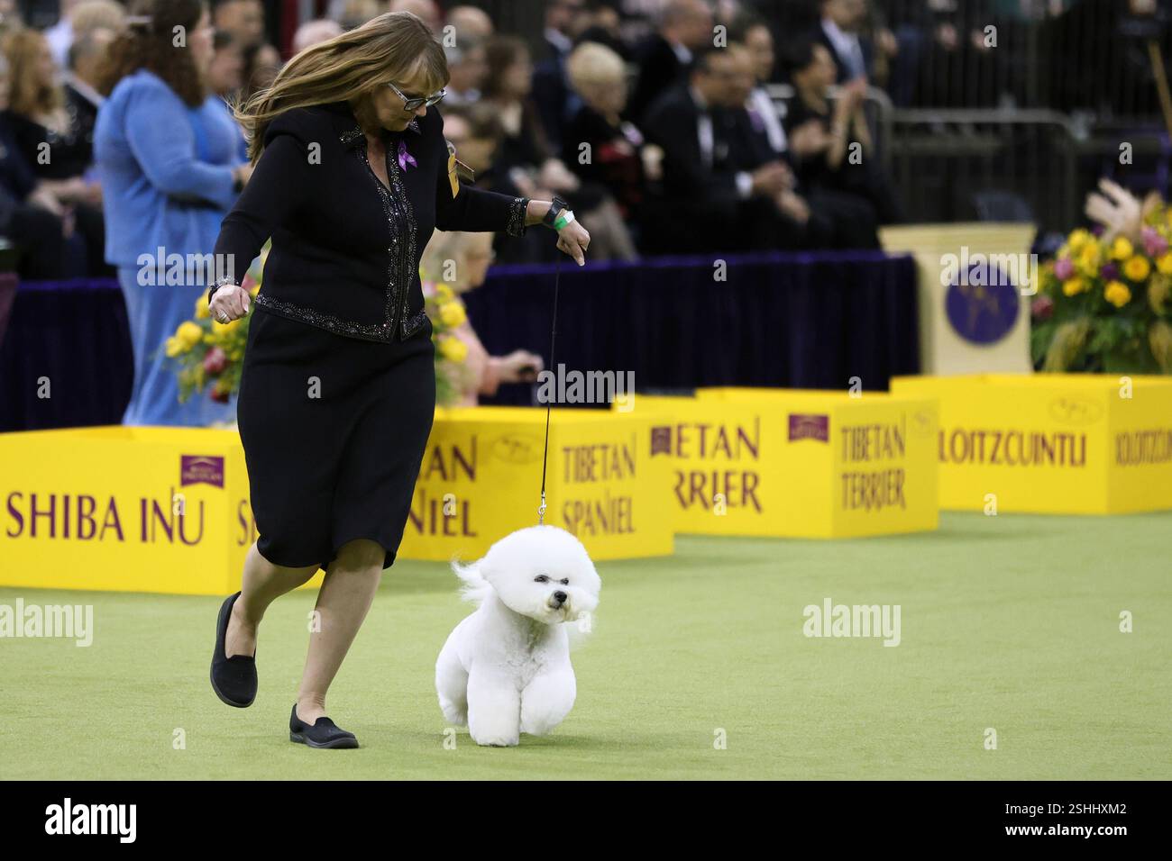 Neal, a Bichon Frise, wins the Non-Sporting group during the 149th ...