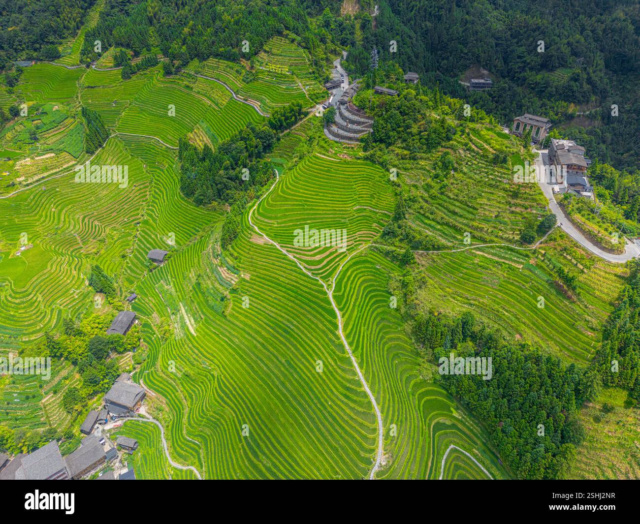 The wooden houses of the village surrounded by Longji rice terraces ...