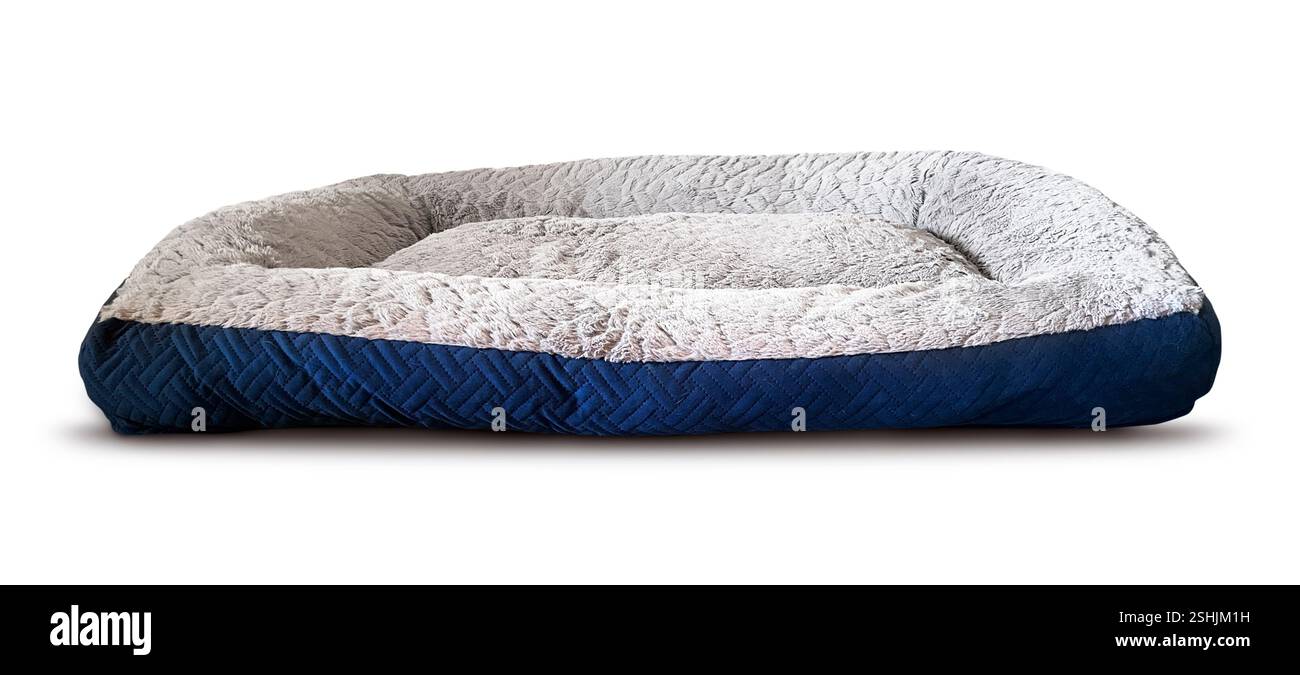 Dog bed empty hi-res stock photography and images - Alamy