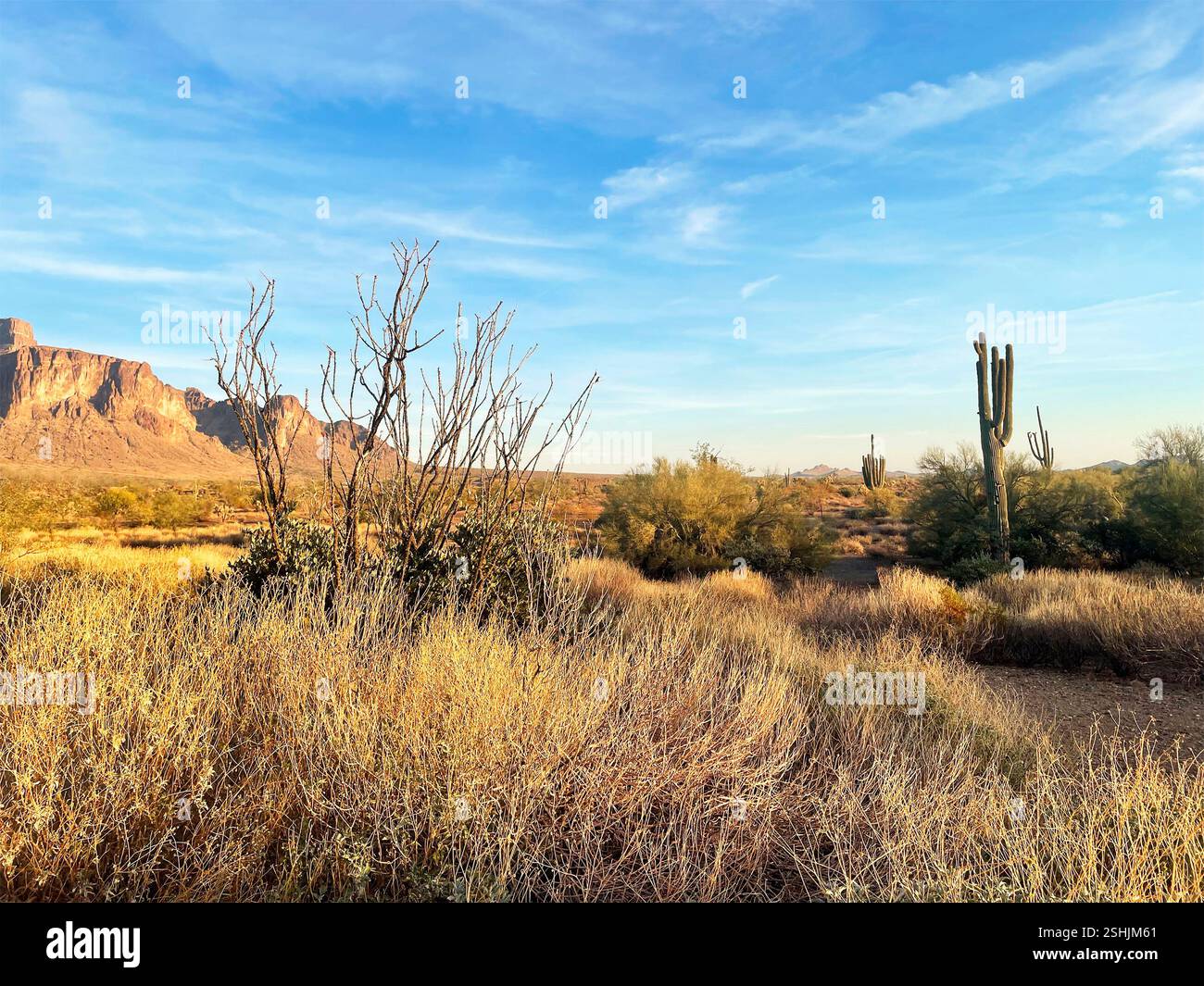 Desert scene mountains cactus hi-res stock photography and images - Alamy