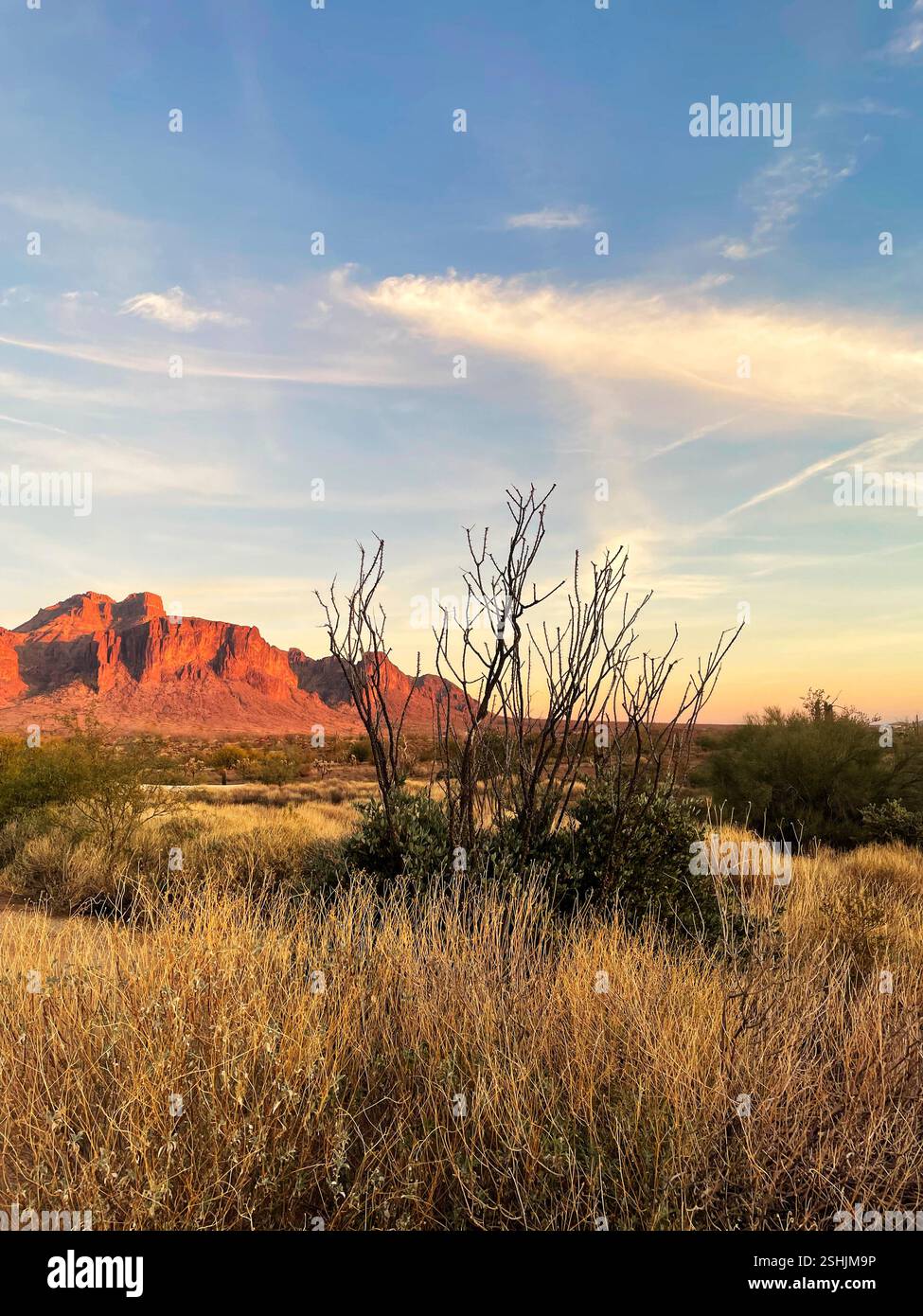 Desert Sunset Mountain Range Scene Stock Photo - Alamy