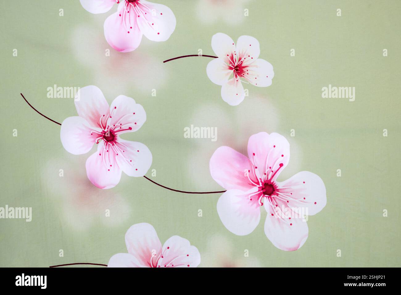 Beautiful pink Cherry blossom flowers for use as background in fabric ...