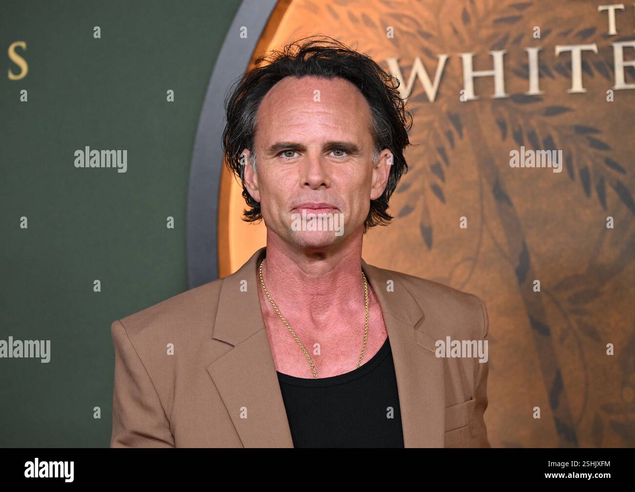 Los Angeles, USA. 10th Feb, 2025. Walton Goggins arriving to HBO ...