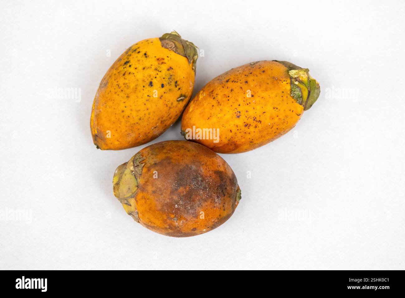 Fresh ripe betel nuts isolated on a white background. Scientific name ...