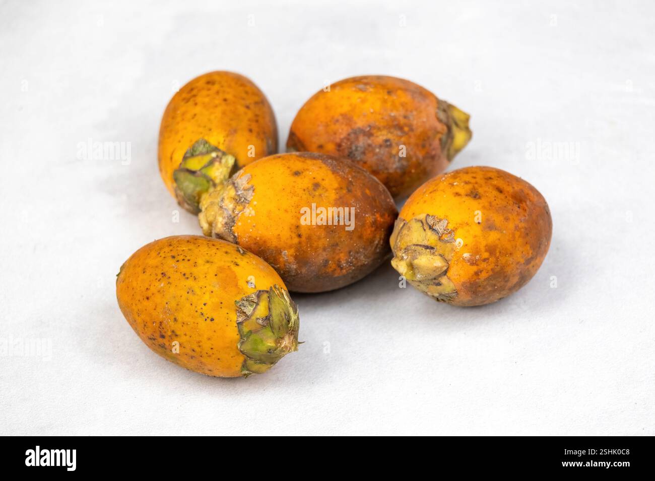 Fresh, ripe betel nuts, scientifically known as Areca catechu, are ...