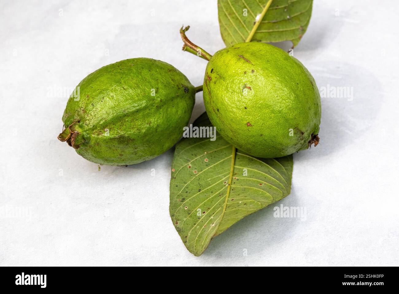 Two whole apple guava fruits hi-res stock photography and images - Alamy