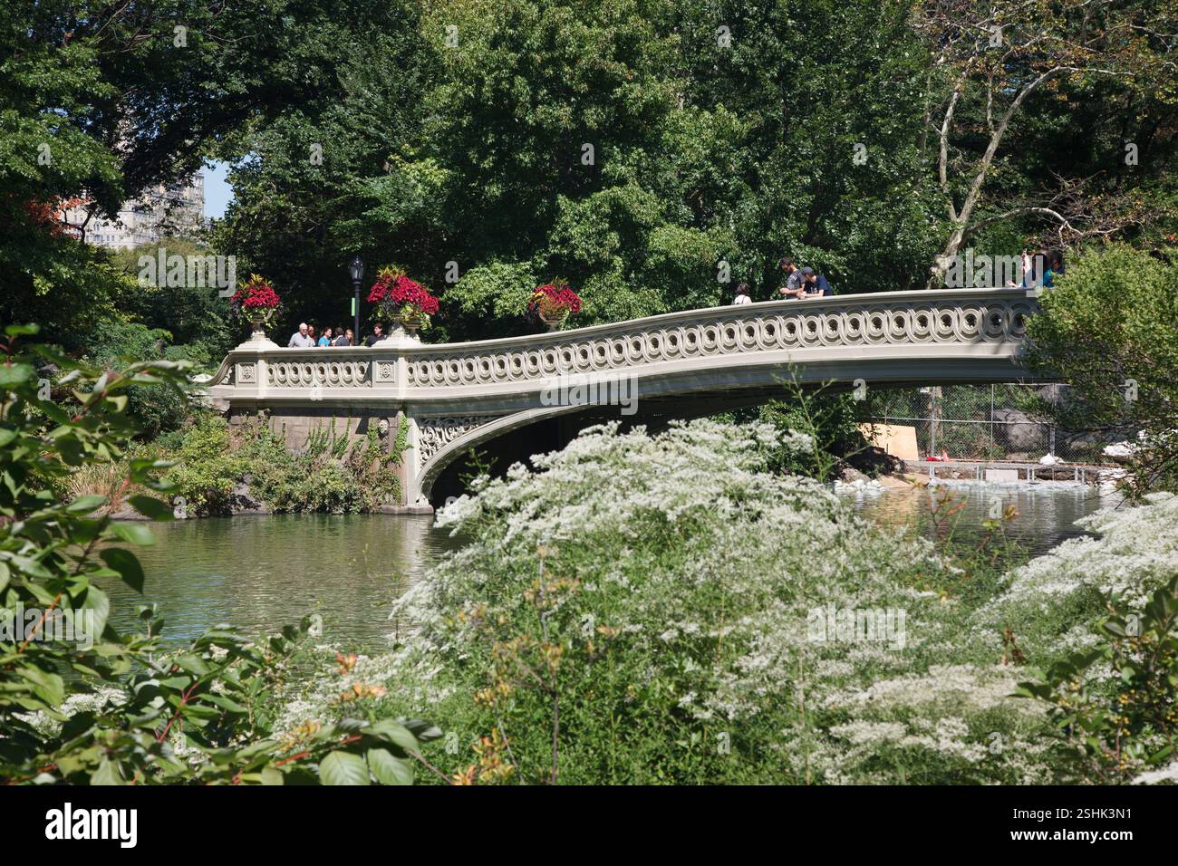 The Bow bridge in Central Park lake, Midtown Manhattan, New York City ...