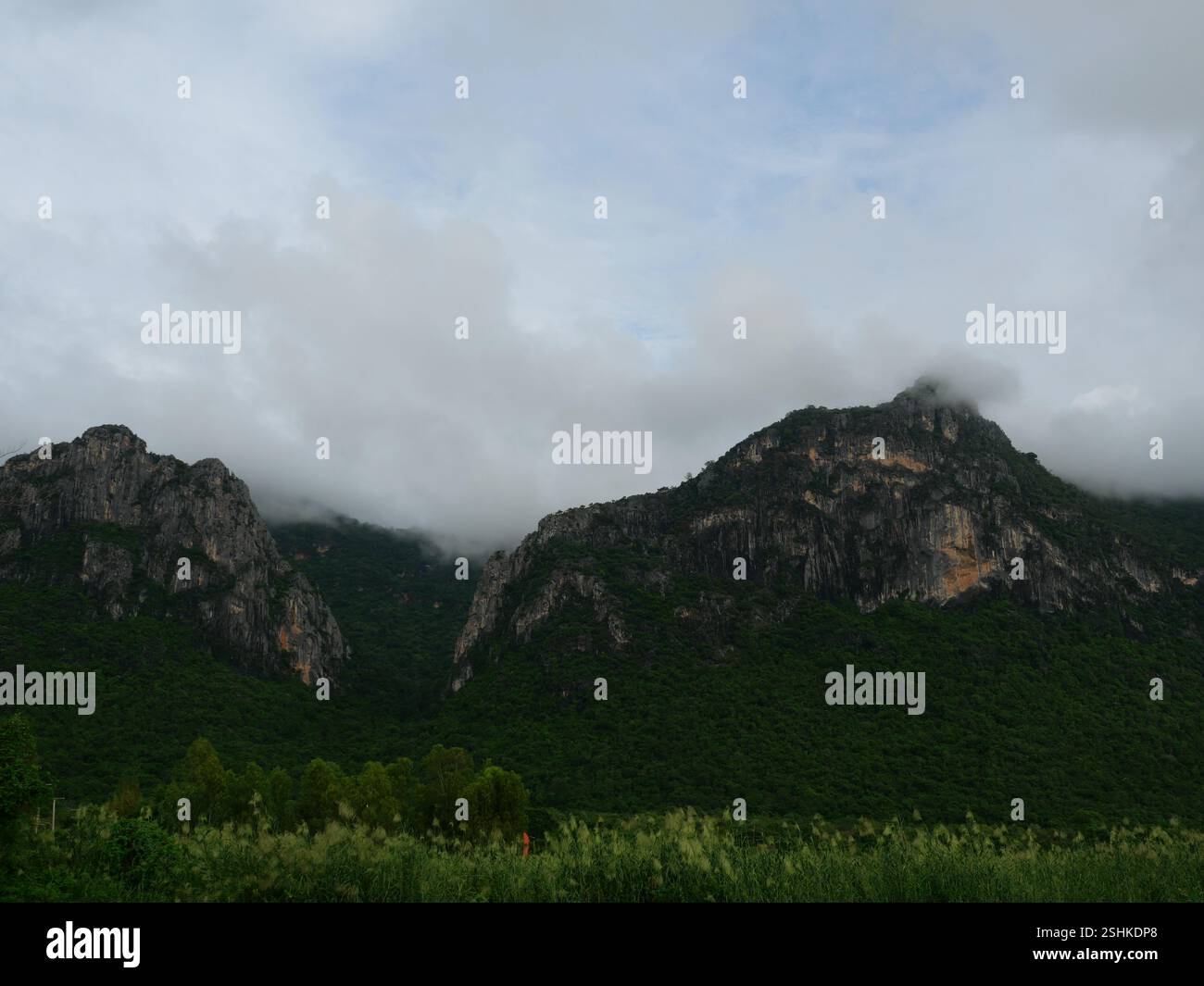 Cloud and fog cover limestone mountain in the rainy season, Green ...